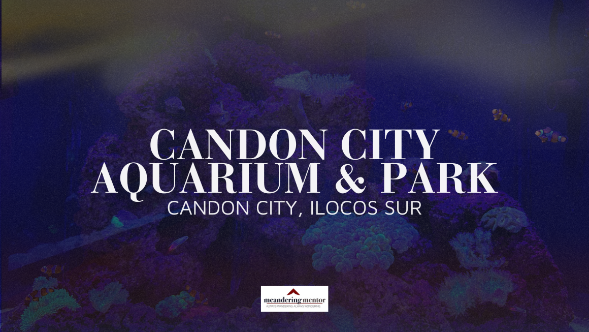 Candon City Aquarium and Park: Ilocos Sur’s Marine Gem - Meandering Mentor